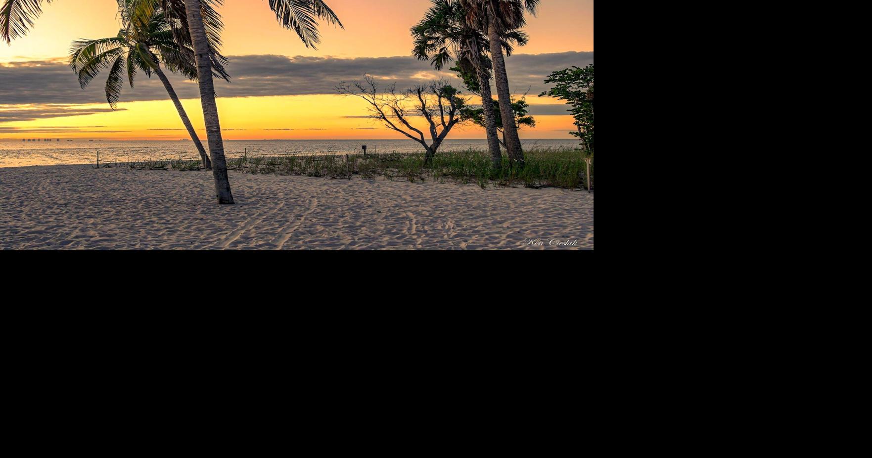 WINK WEATHER WATCHERS. 2-4-26 | Weather Watcher Photos | winknews.com
