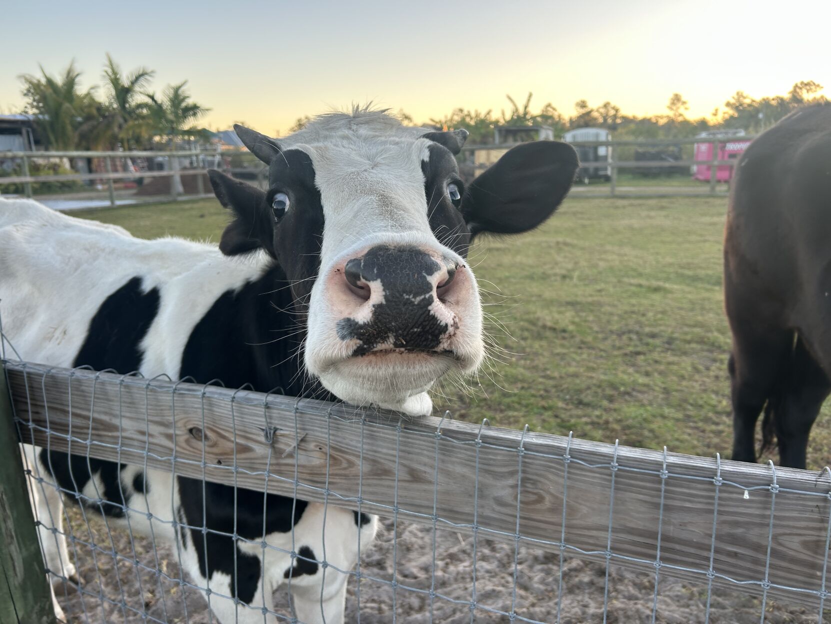 Southern Fresh Farms Grows Into Its Next Chapter | WINK Stop | winknews.com