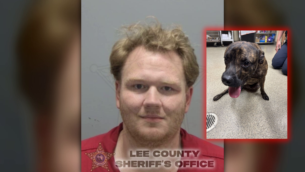 Dog goes 4 days without medical care after being hit by a car; owner ...