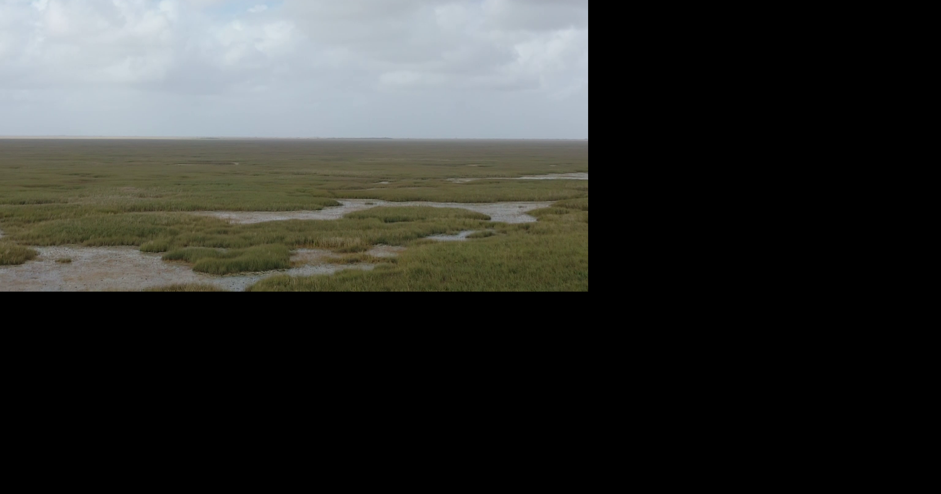 Wetland restoration project transforms the Everglades | Collier County ...