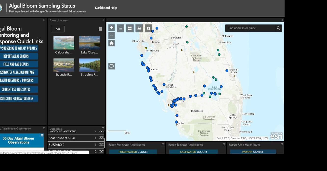 Florida environmental protection releases interactive blue-green algae ...