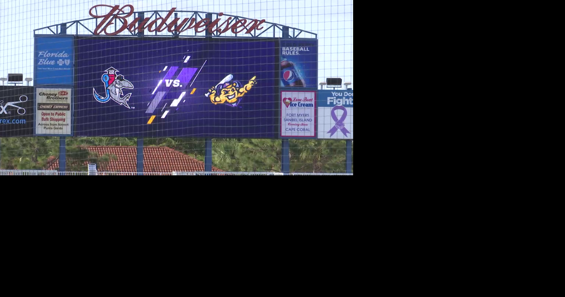 Special guest throws first pitch for Mighty Mussels game | Lee County ...
