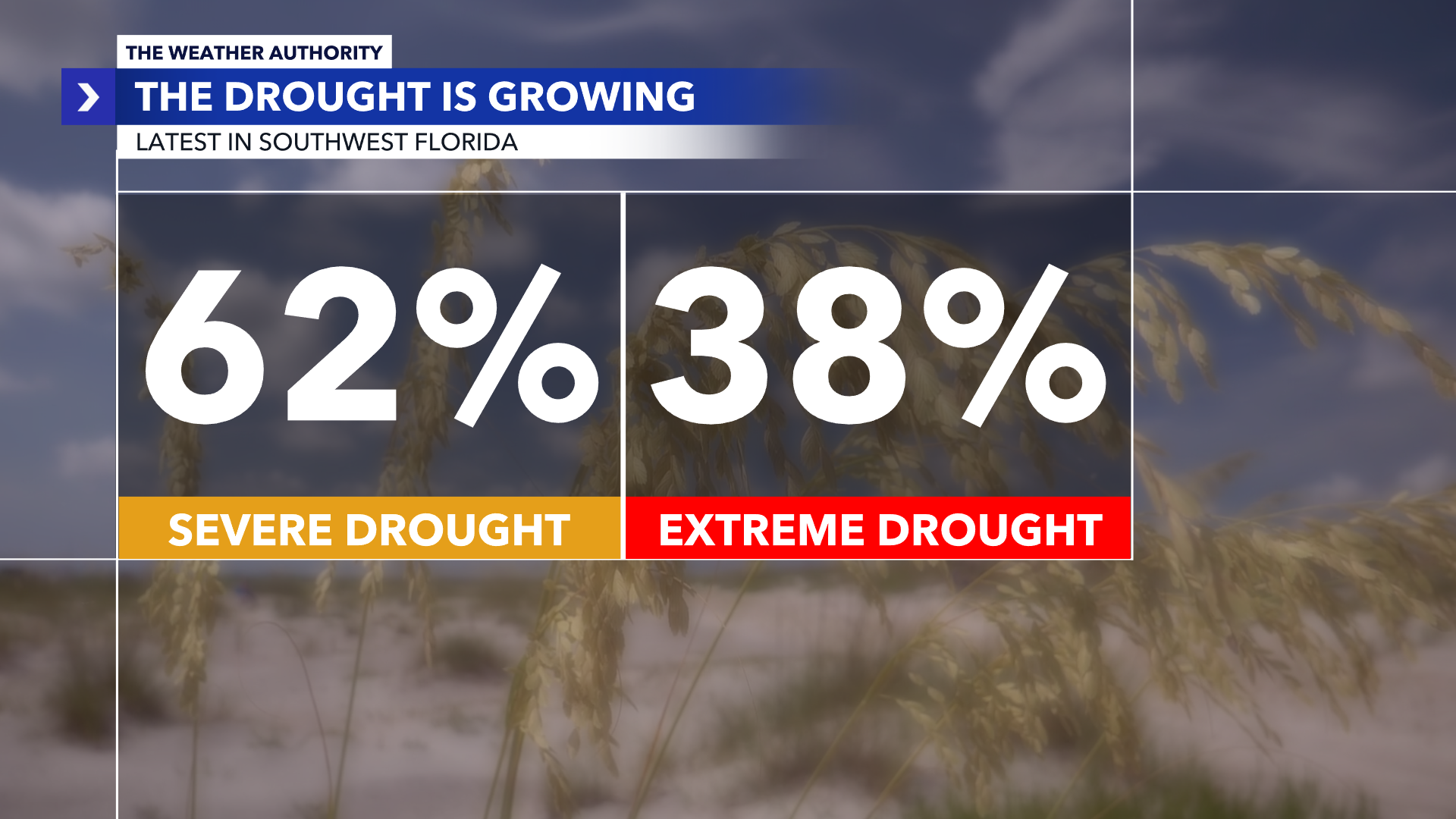 SWFL experiences worst drought since 2017. Is relief on its way? | Weather Explainers | winknews.com