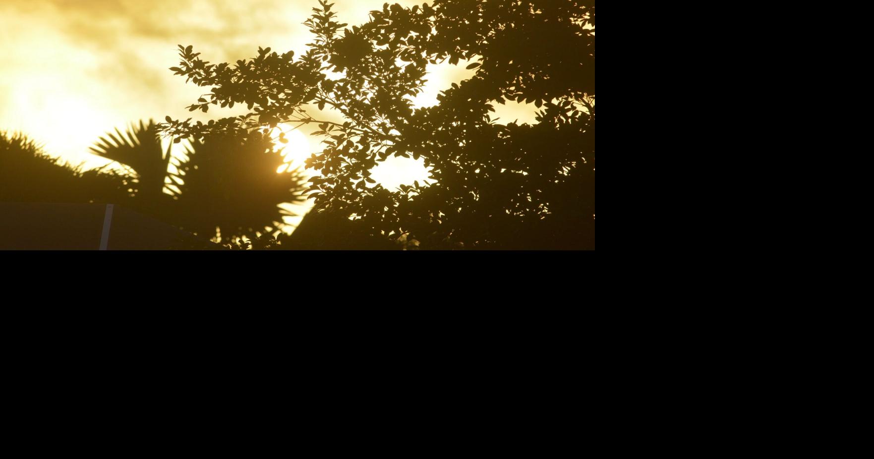 WINK WEATHER WATCHERS. 9-16-25 | Weather Watcher Photos | winknews.com