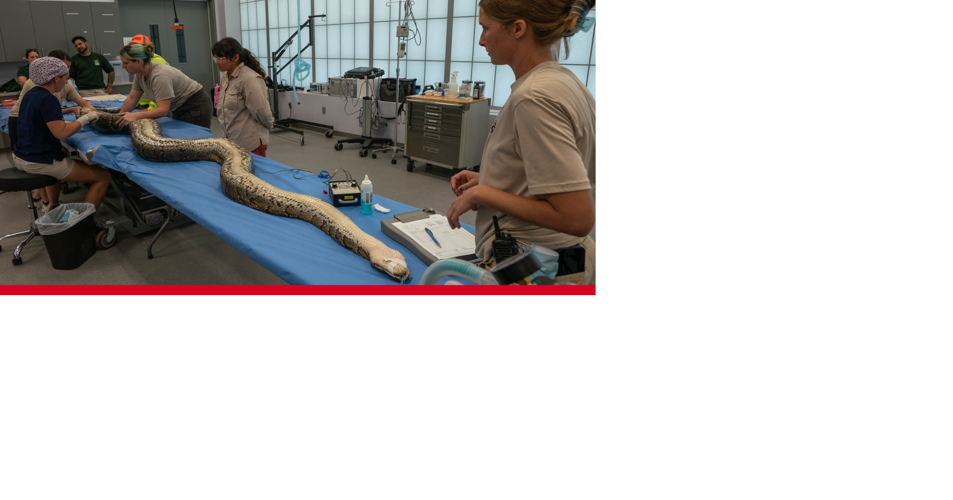 Foe turned Ally: Tracker-infused Burmese python decoy strategy ...