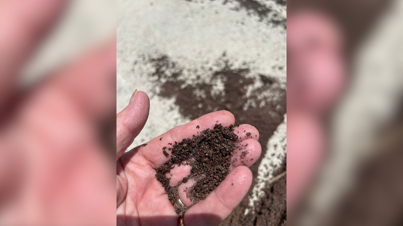 ‘This isn't right’: Lehigh Acres woman stuck with deteriorating roof ...
