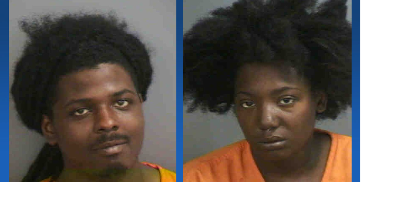 2 suspects facing felony charges after high-speed chase in Collier ...