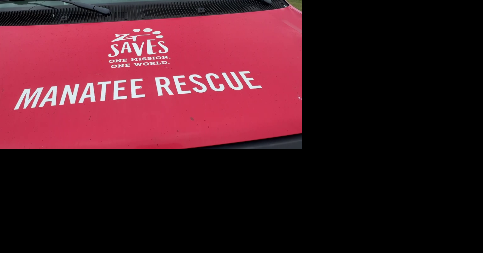 FWC pushing to protect Florida’s endangered manatees | News | winknews.com