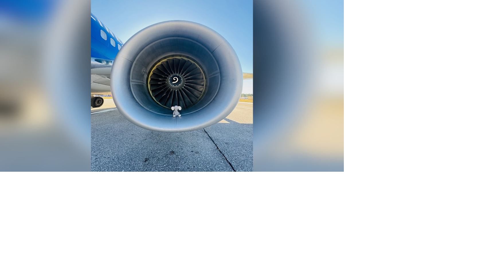 The Tale of Toot: A stuffed animal rescue at RSW | Archives | winknews.com