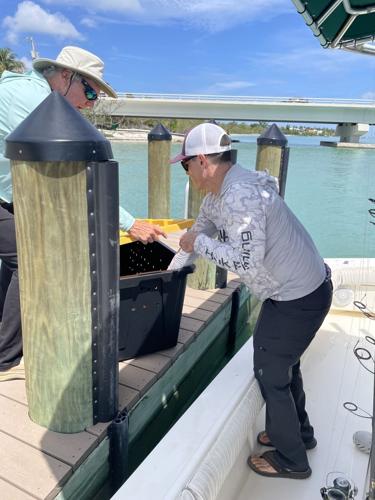 New recycling stations aim to protect wildlife in Fort Myers | Lee ...