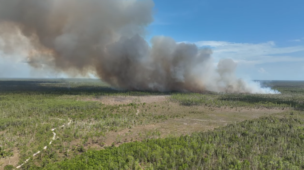 Crews battling 160-acre brush fire in East Naples | Collier County ...