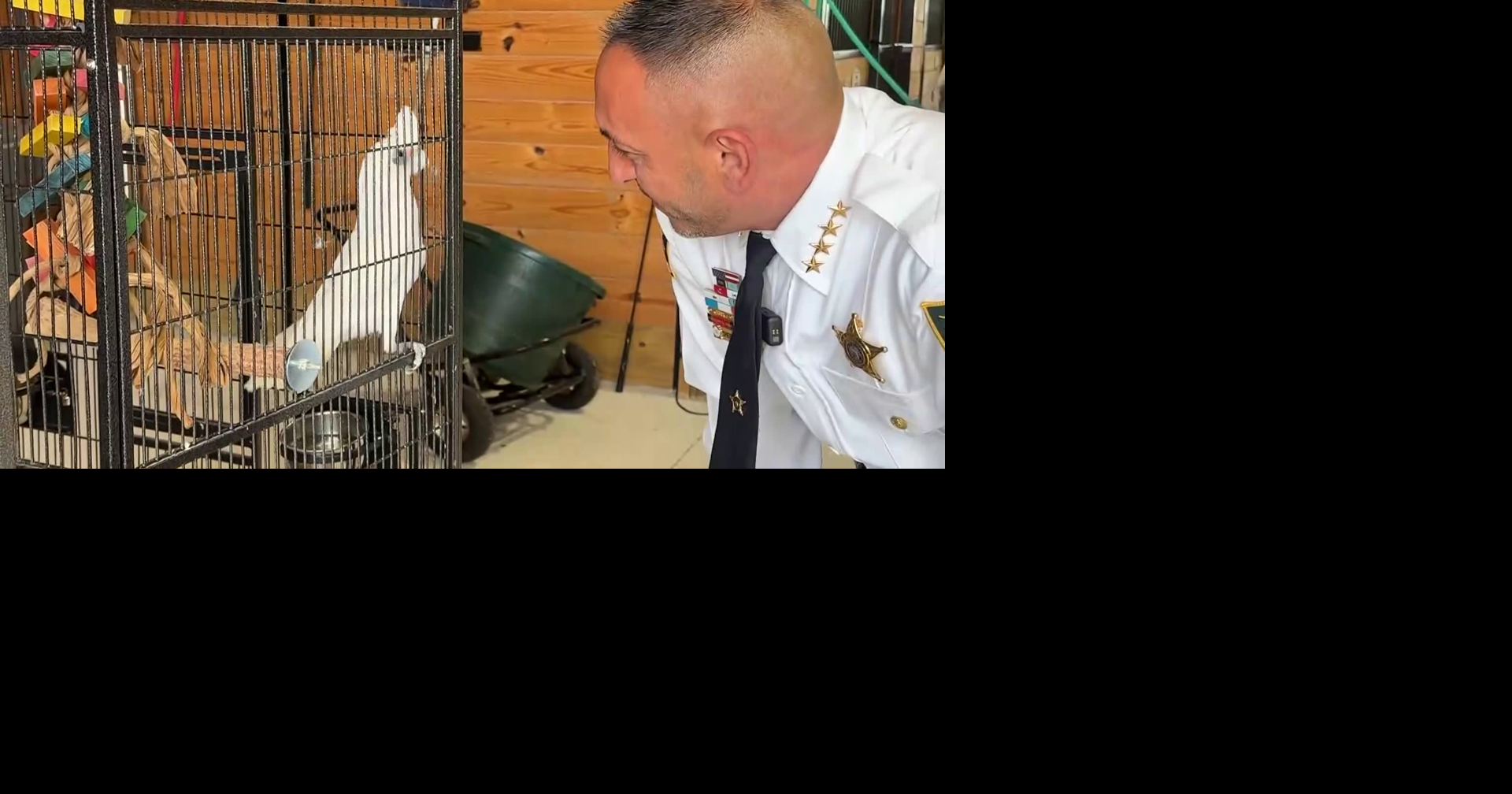 LCSO steps in to help Shell Factory animals relocate after closure ...