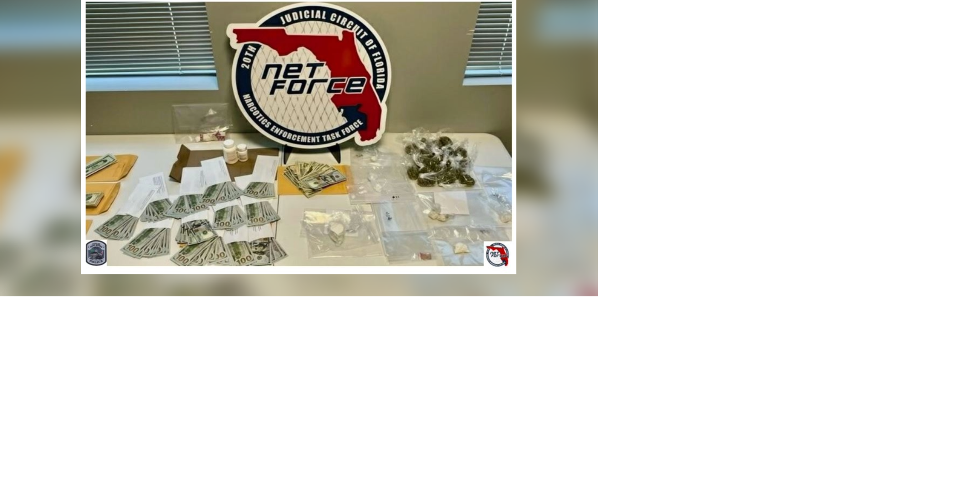 Nine arrested in major drug sting operation | Collier County | winknews.com