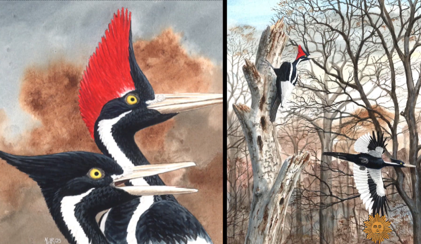 winknews.com | Fort Myers Broadcasting Company