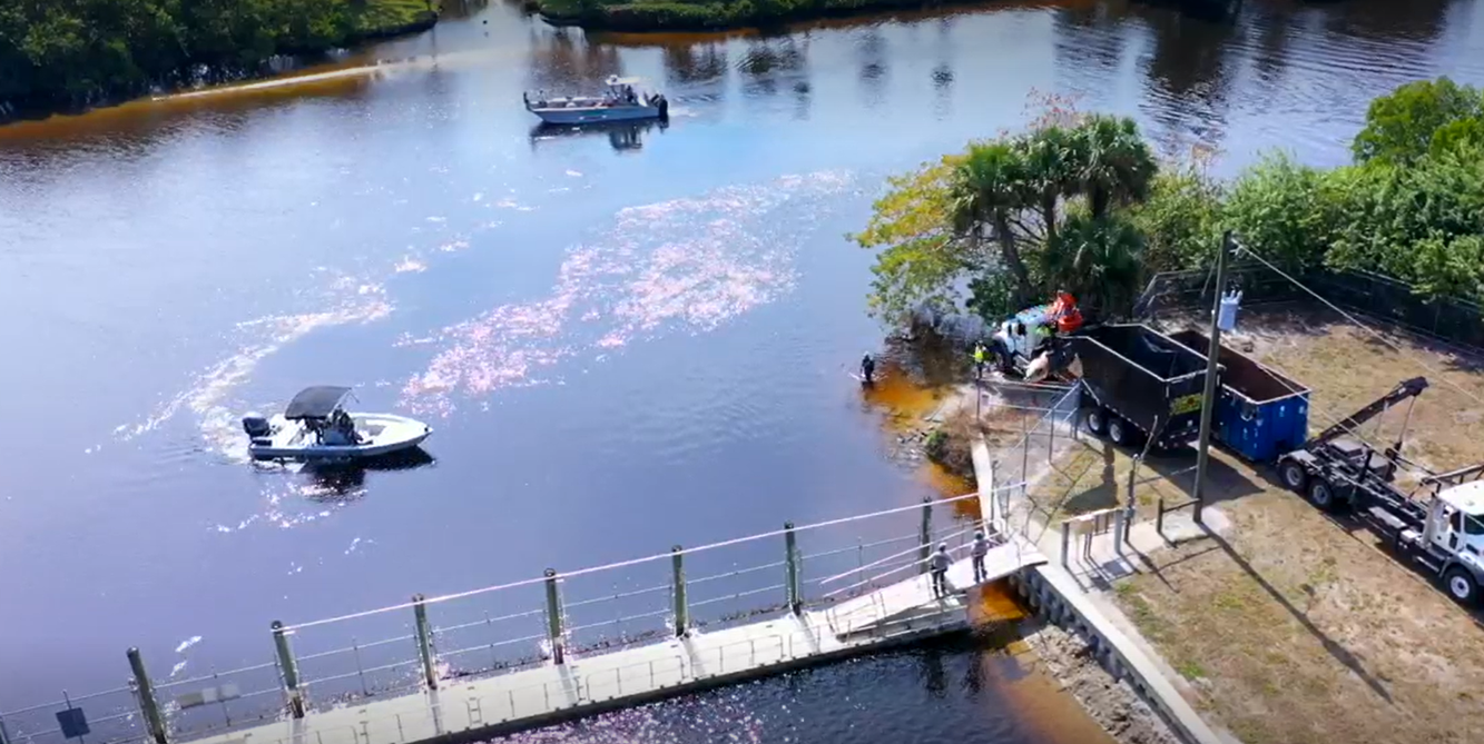 Manatees pulled from Manatee Park waters in Lee County | Lee County ...