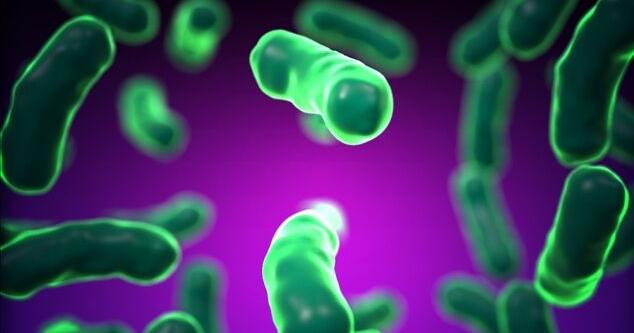 Florida could isolate people suspected of being infected | State ...
