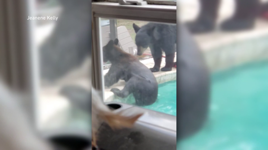 WINK | News and Weather in Southwest Florida