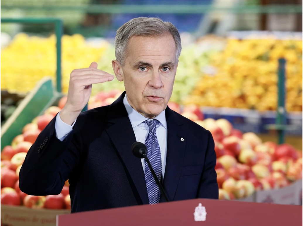 Exploring eligibility for Carney's grocery credit boost | News ...