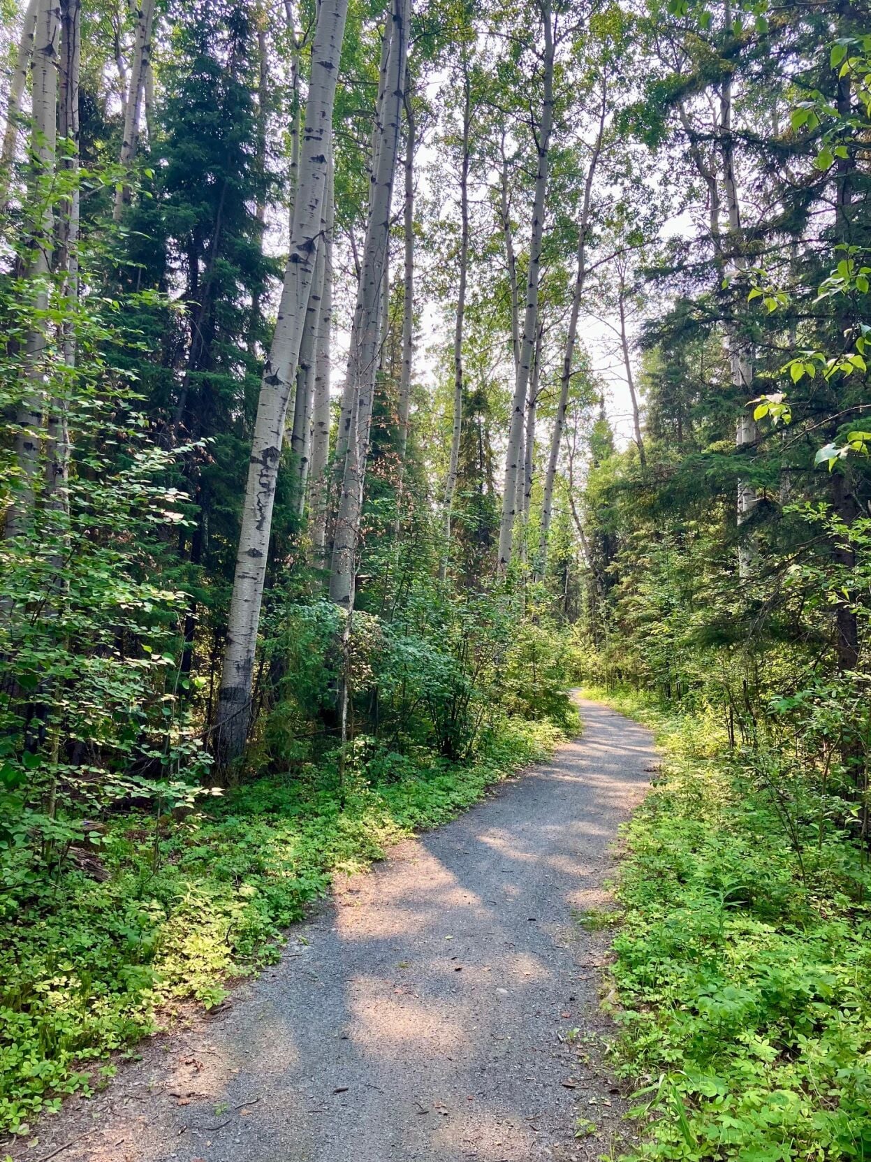 Manitoba invests more than $200,000 in trail improvements | Manitoba ...