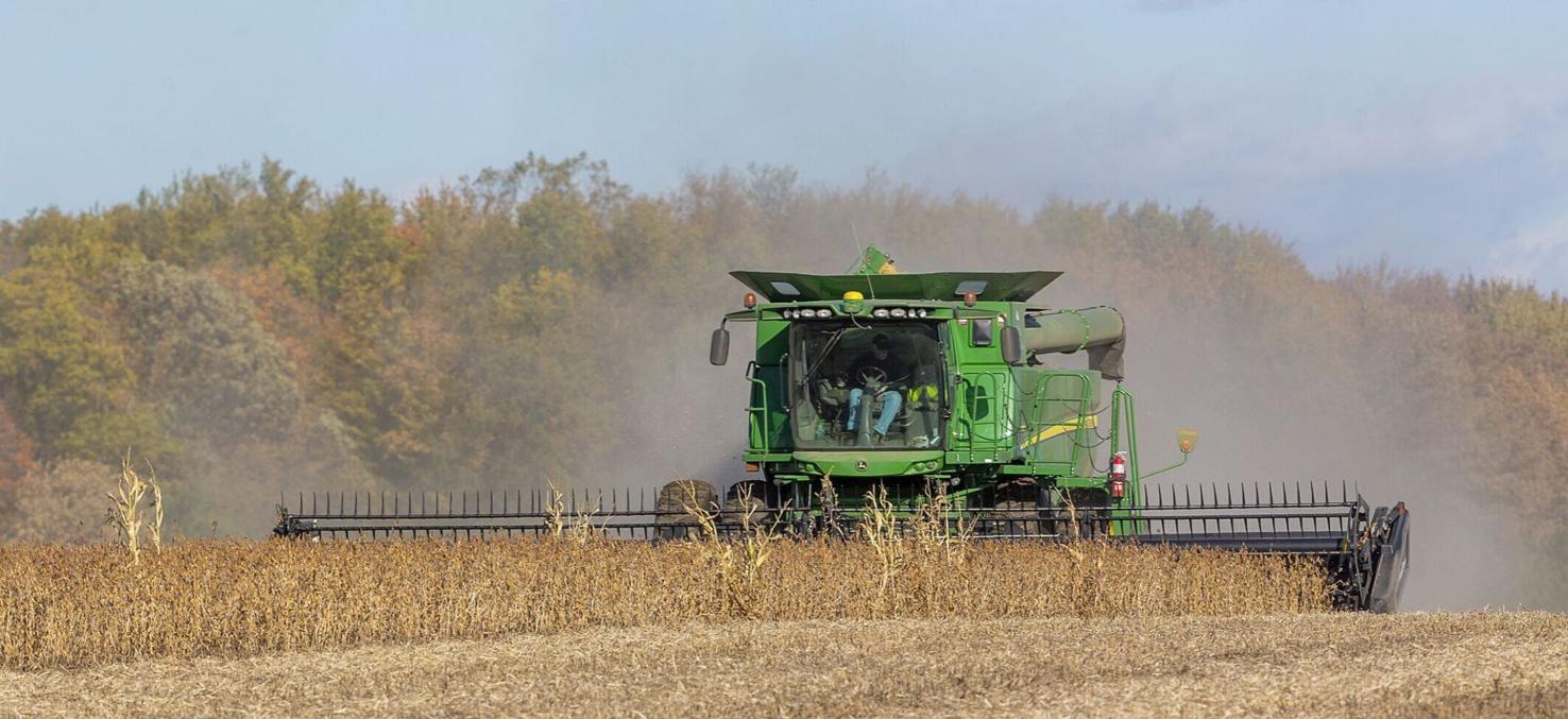 Grain farmers eye bumper harvest, vegetable growers less hopeful ...
