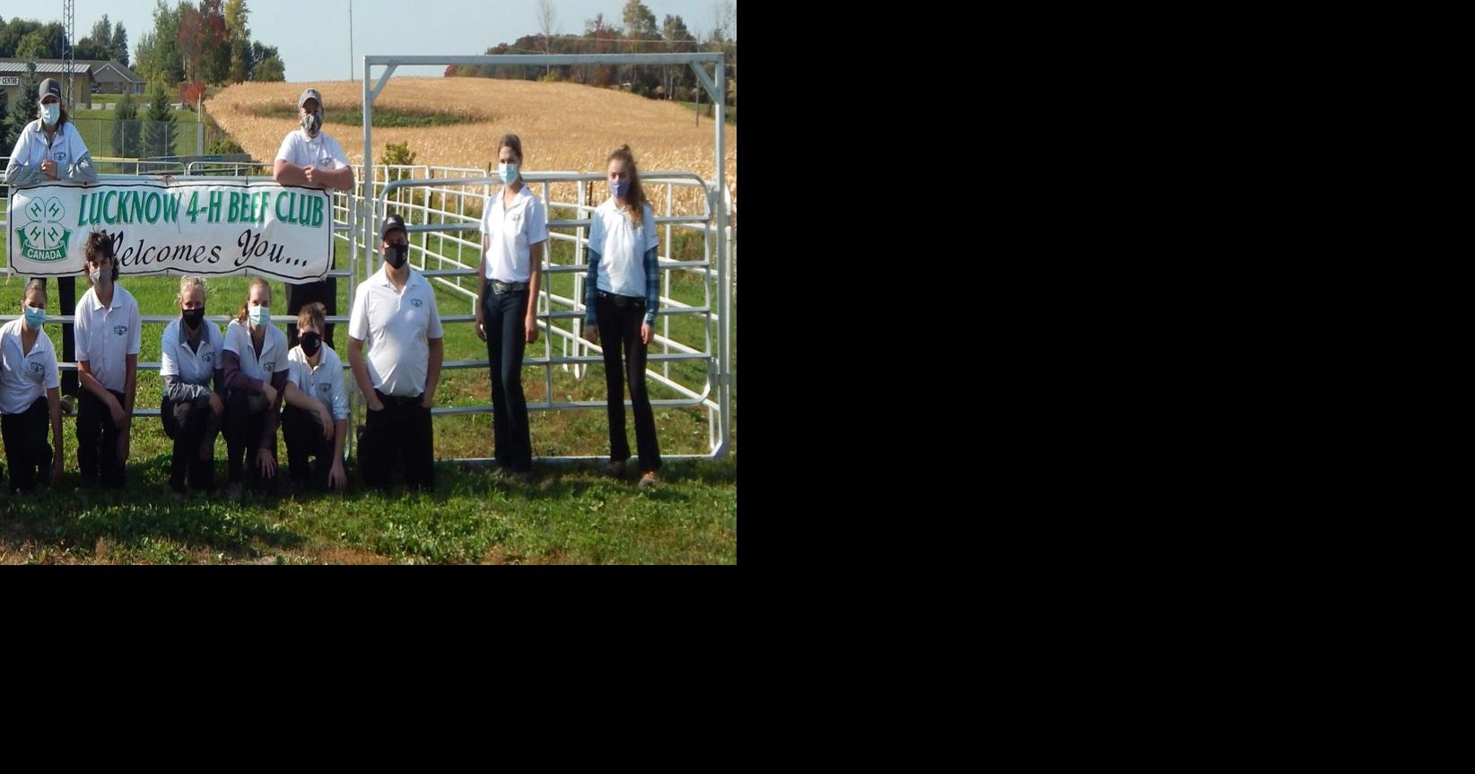 Lucknow 4H Beef Club Achievement Day | Kenora | winnipegsun.com