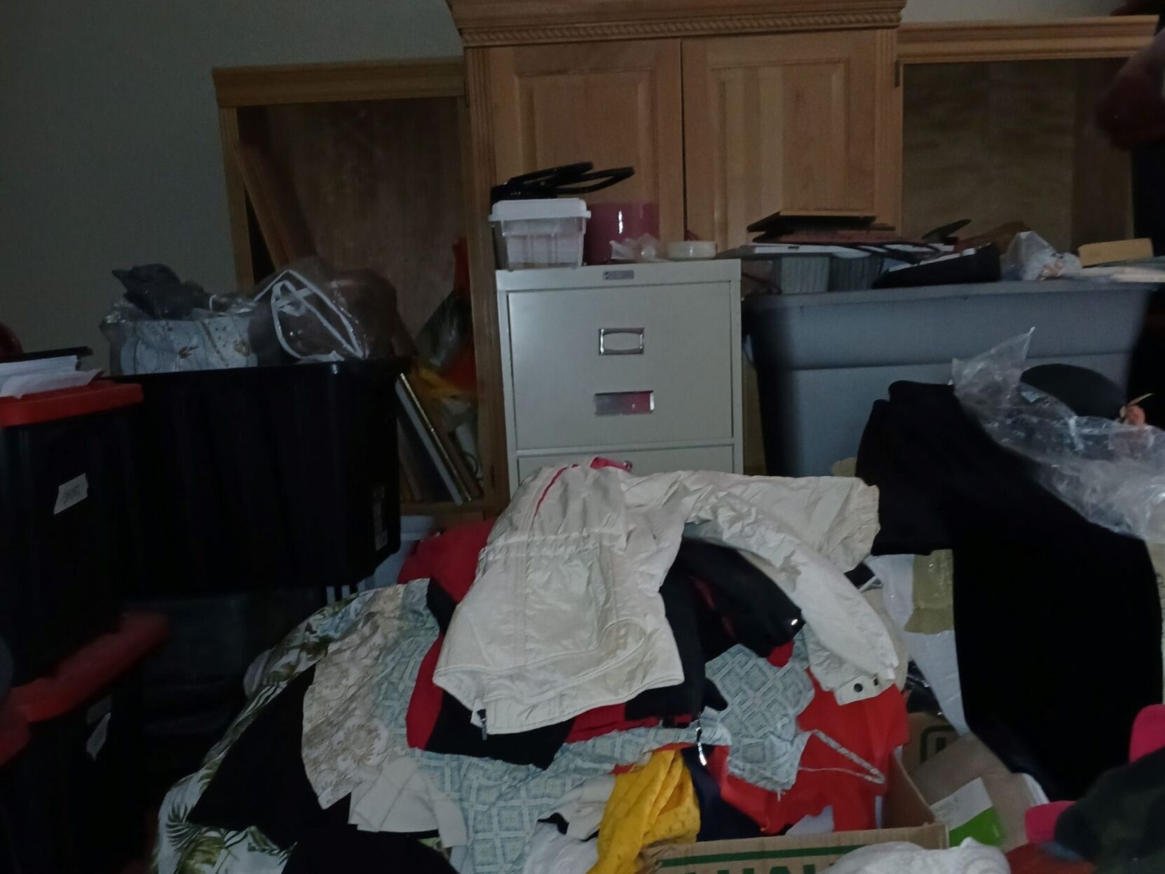 Disabled Winnipeg woman endures years in bed bug–infested room amid ...