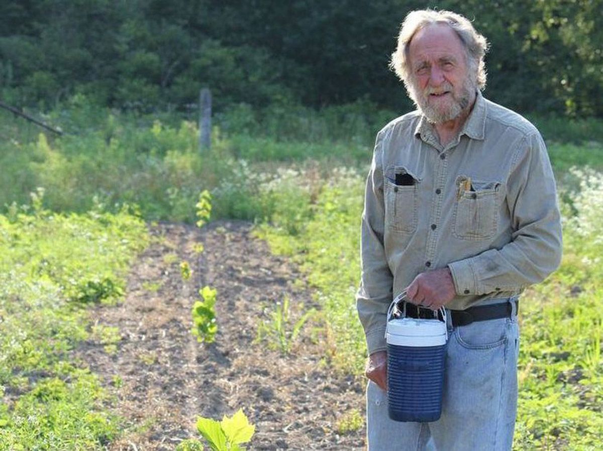 Owners of historic oil property converting field to forest | Kenora ...