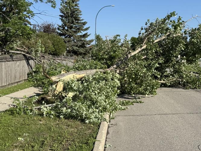 Possible tornado rips through Whyte Ridge in Winnipeg | Winnipeg ...