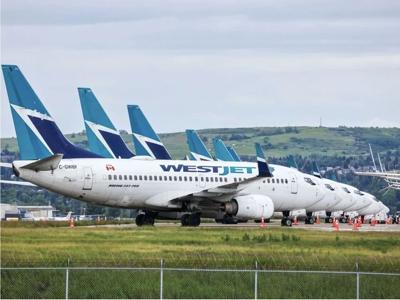 WestJet execs tried tight seats weeks before online backlash | National ...
