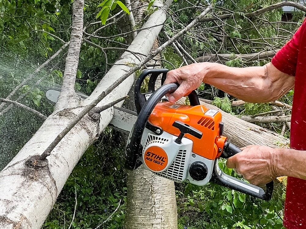 WINTRUP: Relinquishing rights to productive property usage, another ...