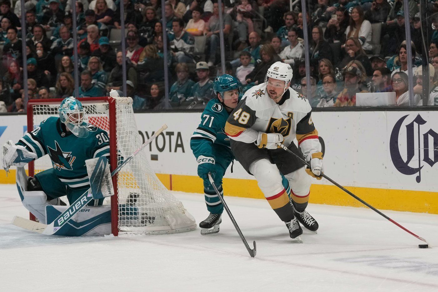 NHL celebrates Hertl, Gibson, Pastrnak's performances | Sports ...