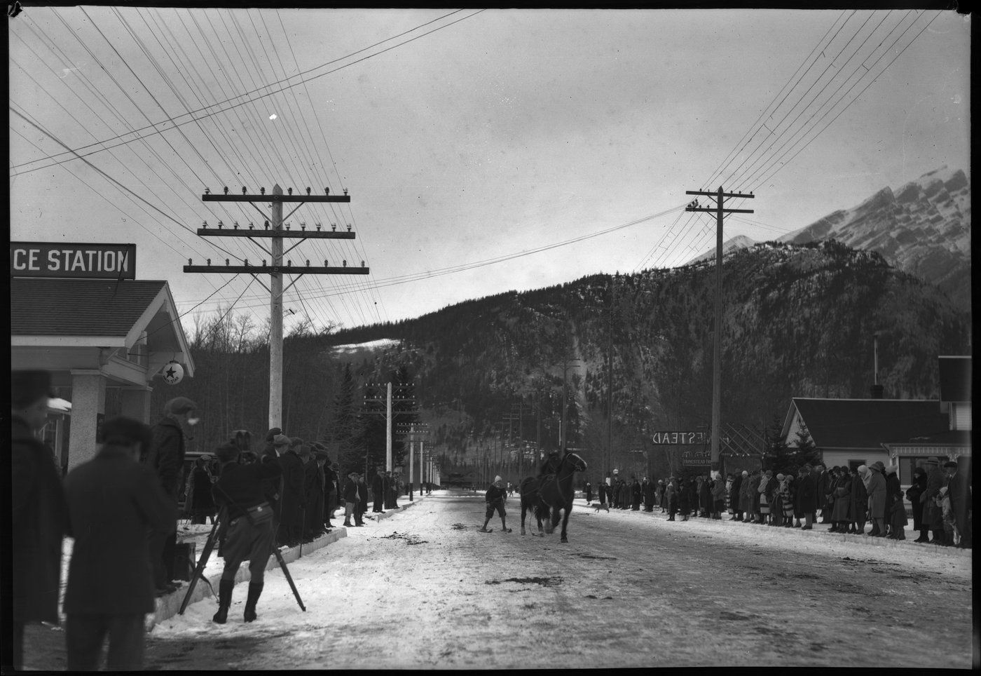 Skiing and horse-riding combine in winter sport skijoring | Sports ...