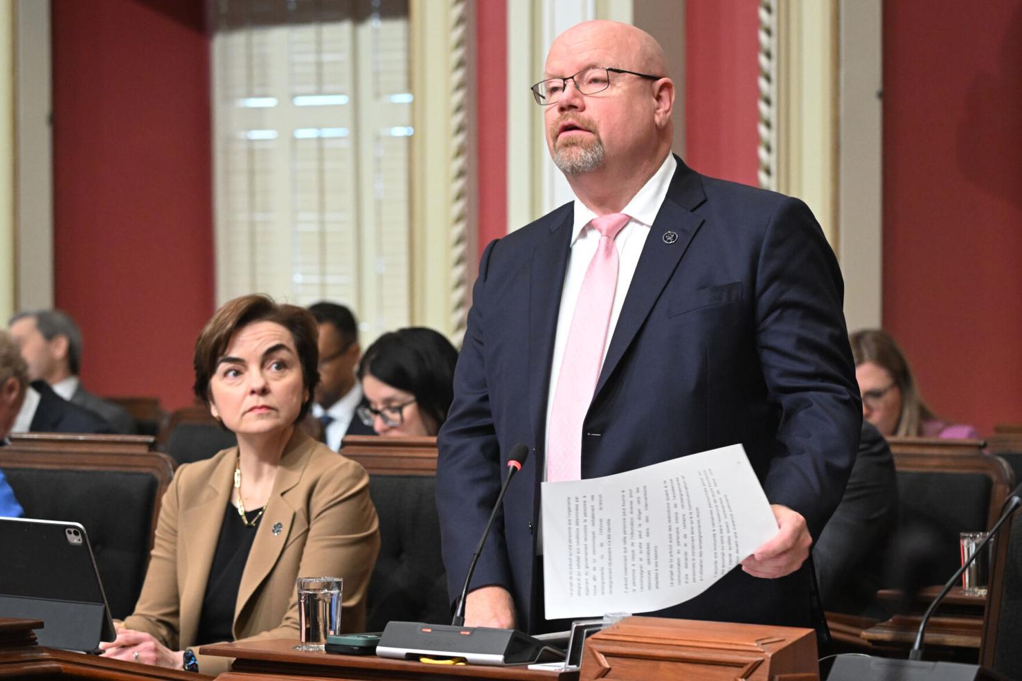 Quebec tables bill allowing people to obtain domestic violence history ...
