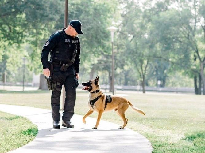 Beloved Brandon Police Service K9 Storm remembered for loyalty and ...