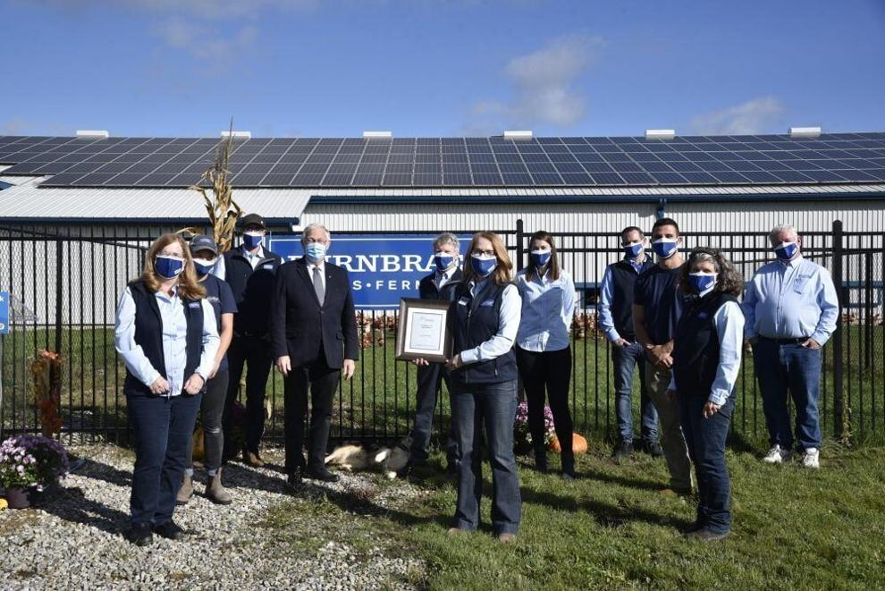 Burnbrae Farms wins top agriculture award for solar egg farm | Kenora ...