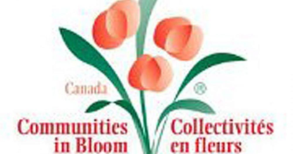 Communities in Bloom searching for committee members | Kenora ...