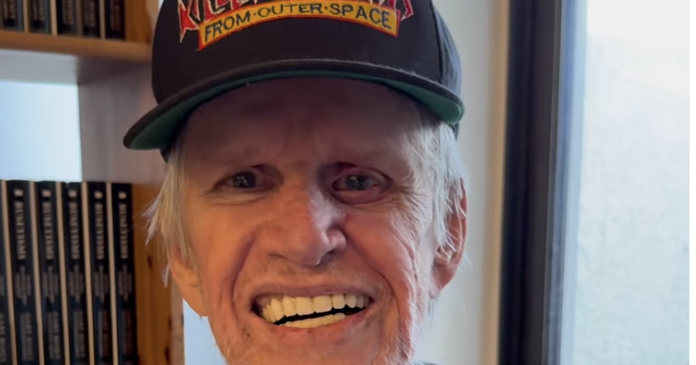 gary busey issues