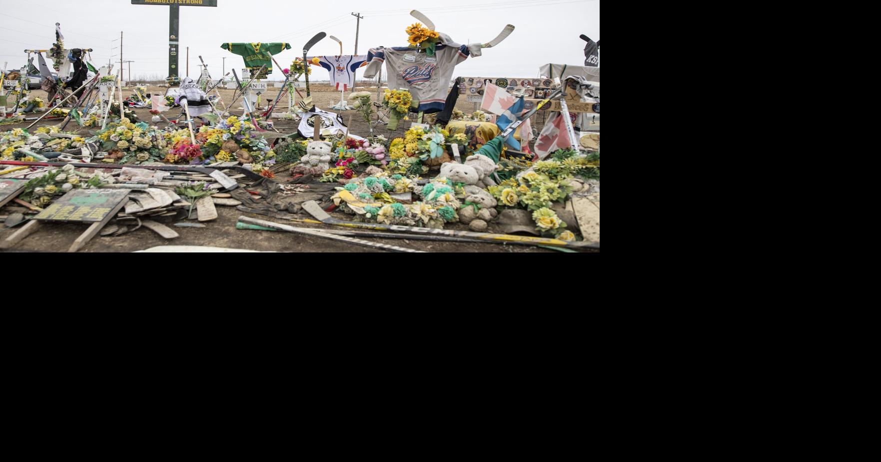 Broncos families upset over new Netflix hockey series | National News ...