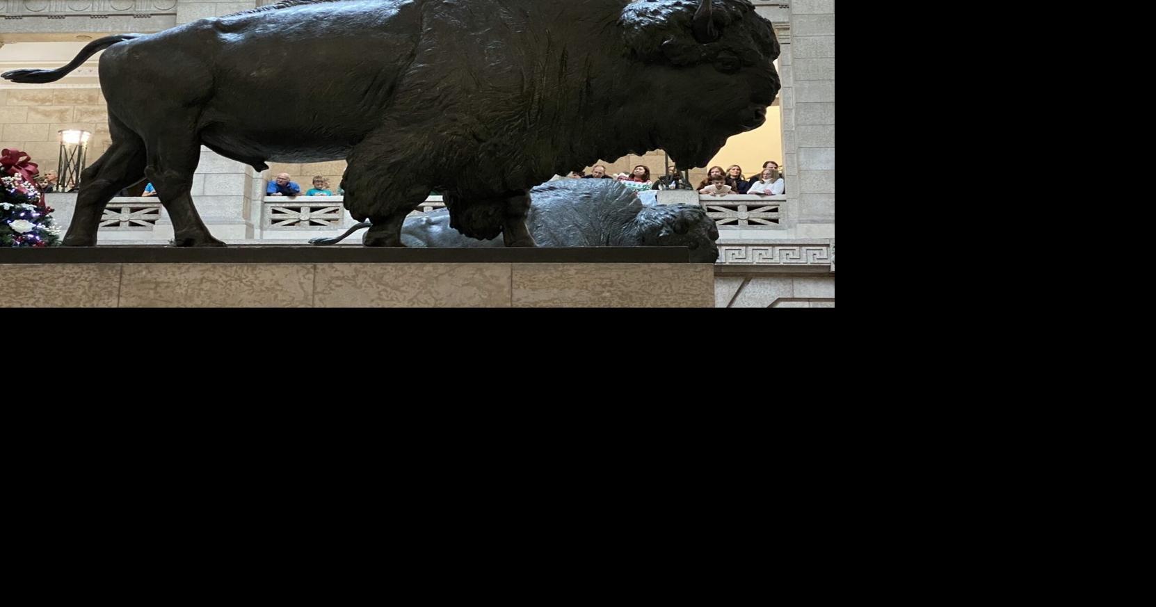 PEREIRA: The Bison Economy: How Manitoba can lead Canada’s tech ...