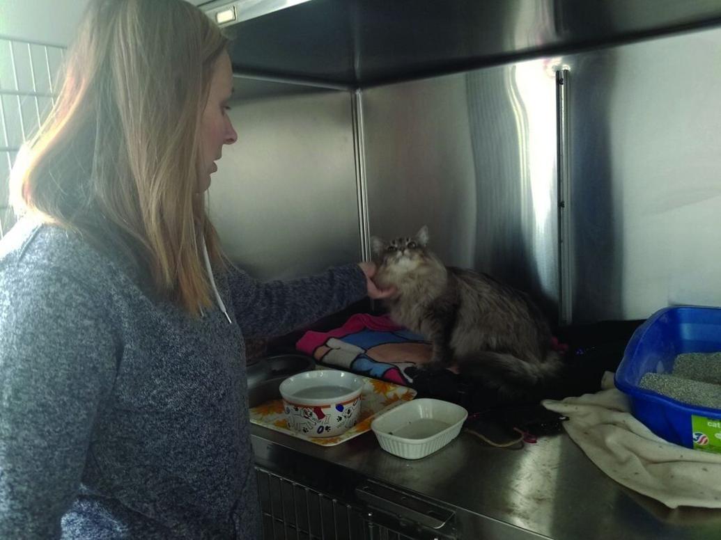 NAPS moves into new animal shelter | Kenora | winnipegsun.com