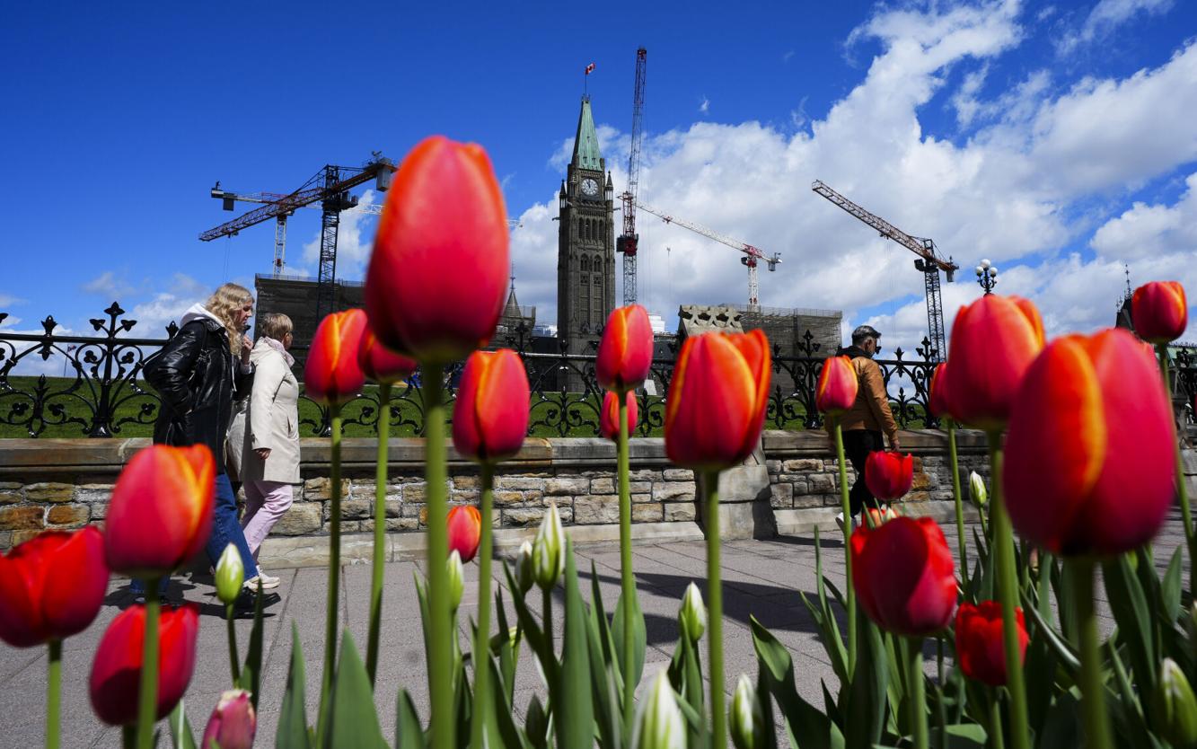 StatCan estimates population edged lower in the first quarter of 2026 ...