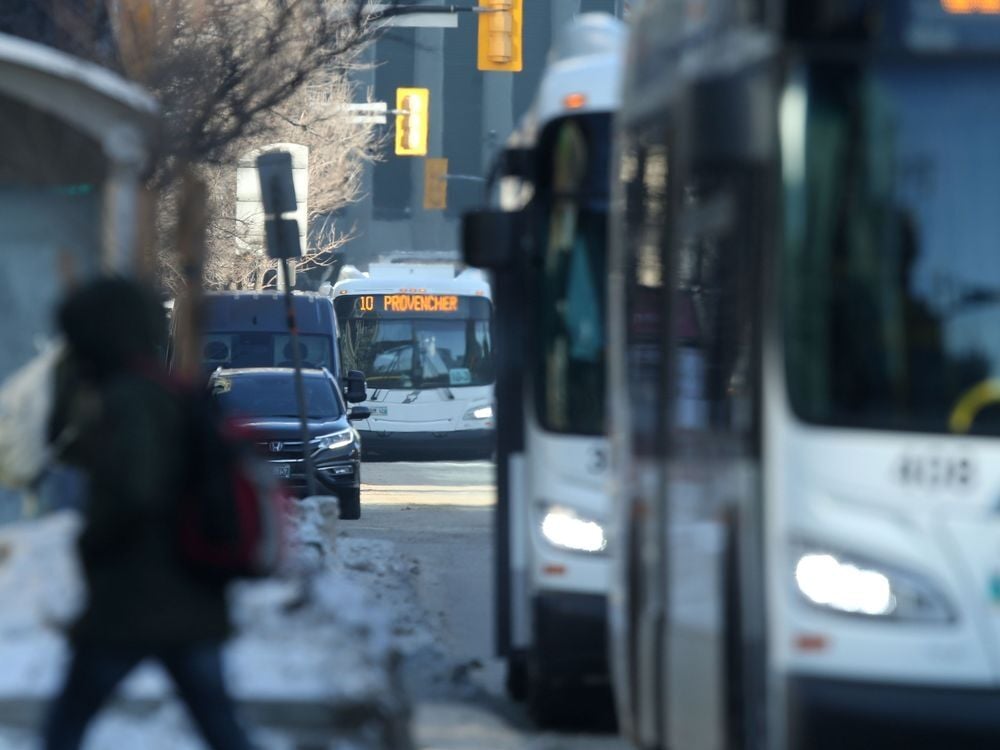 STELTER: Transit safety issues need to be addressed by all levels of ...