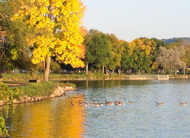 Photos: Regional Fall Color