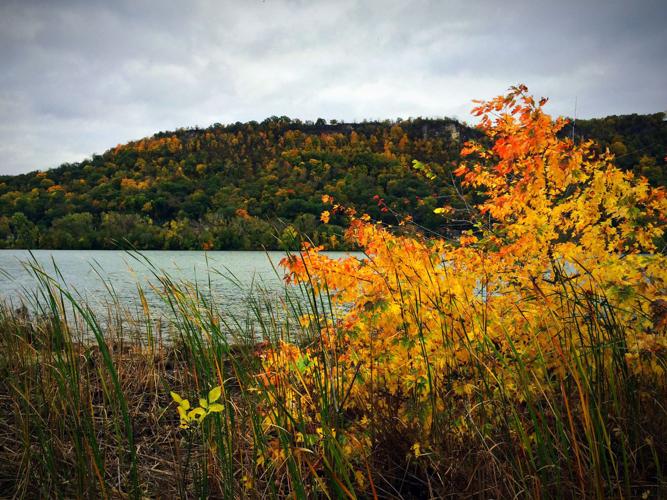 Gallery: Reader-submitted photos showcase fall colors