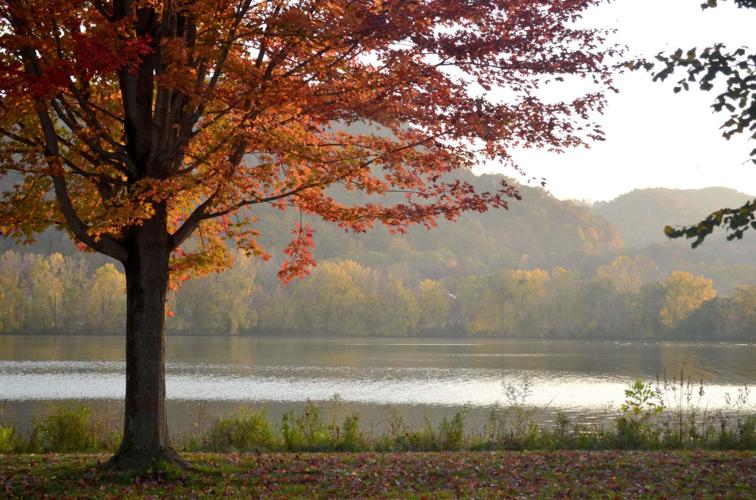 Gallery: Reader-submitted photos showcase fall colors