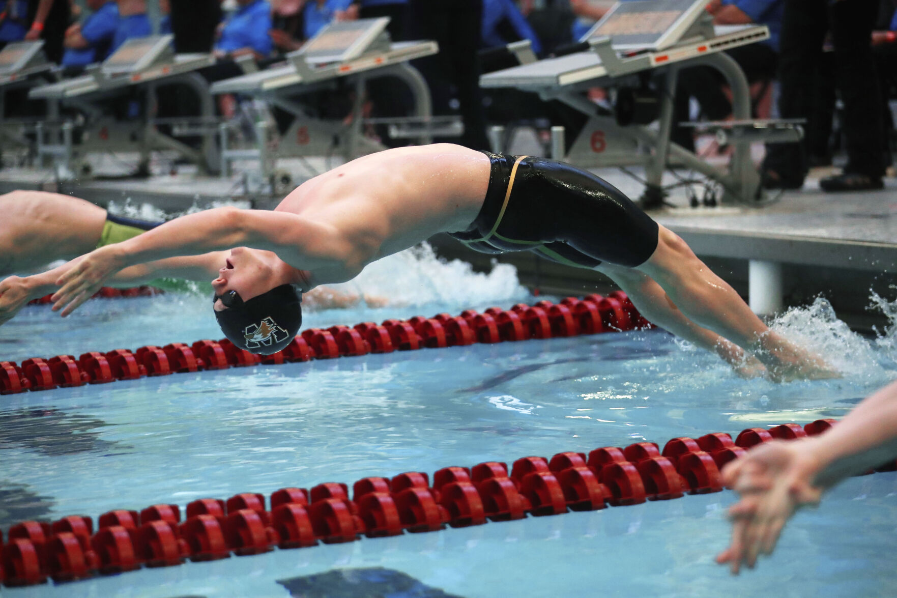 Photos: Winona/Cotter boys swim and dive competes at MSHSL state ...
