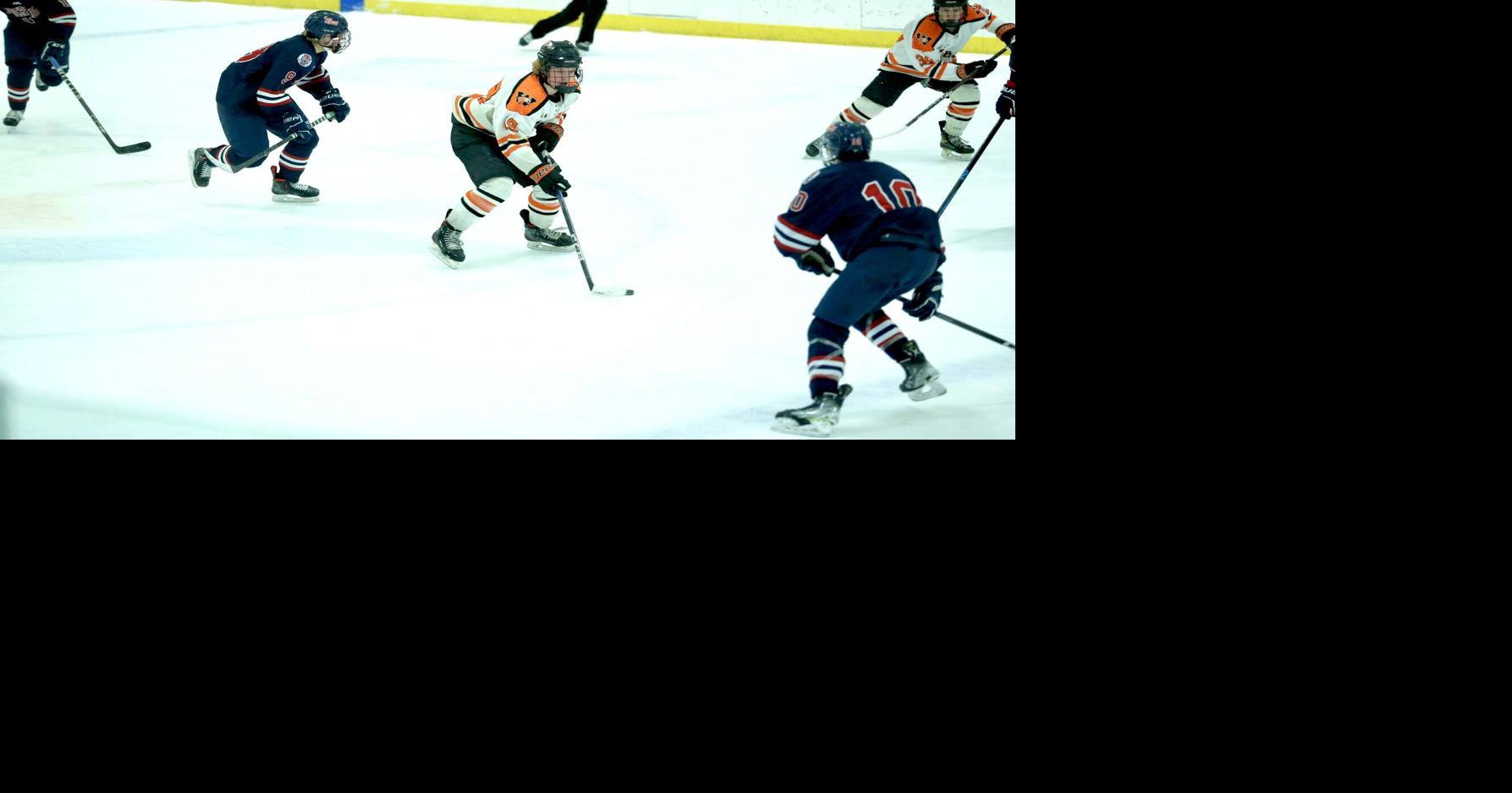 High school hockey: Two-sport star Larsen racks up goals for Winona