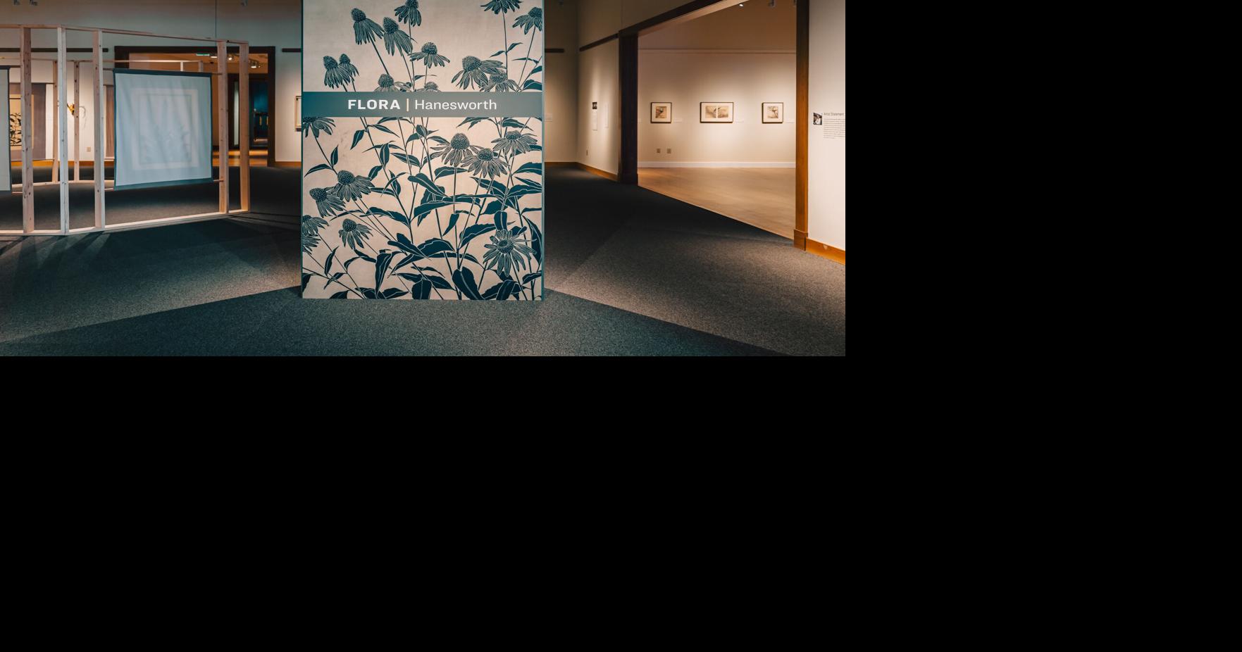 Stories for Good: Minnesota Marine Art Museum features Winona artist's ...