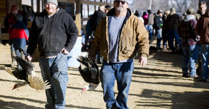Photos: Small Animal Swap Meet (4/5/14)