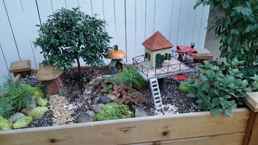 Miniature gardens are a whimsical, low-maintenance trend